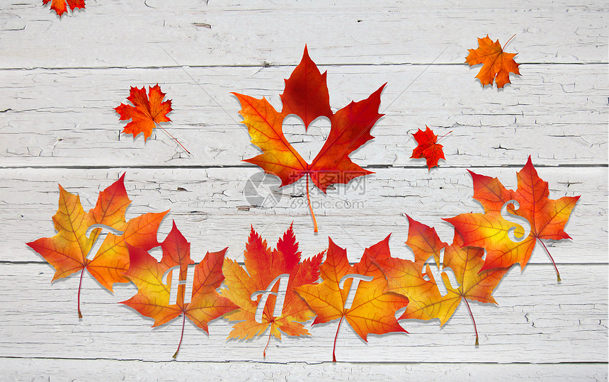 感恩节图片素材-正版创意图片500702892-摄图网