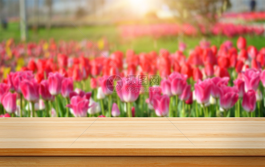 春天桌面背景图片素材-正版创意图片500852742-摄图网