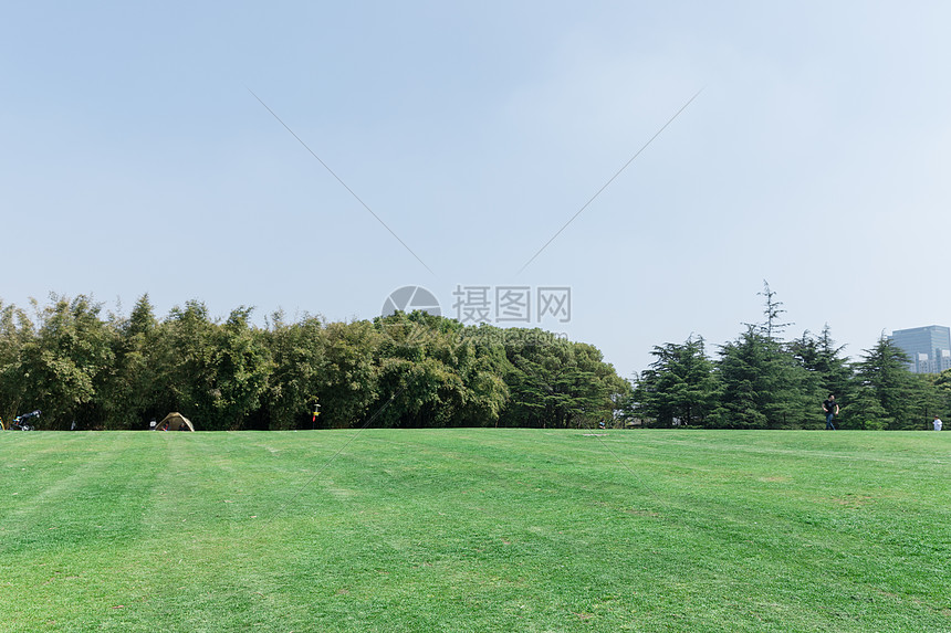 春天公园里的绿色草地高清图片下载-正版图片500859991-摄图网