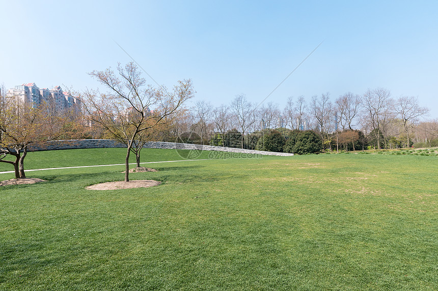 春天公园里的绿色草地高清图片下载-正版图片500860121-摄图网