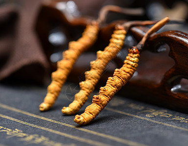 冬虫夏草高清图片下载-正版图片500496799-摄图网