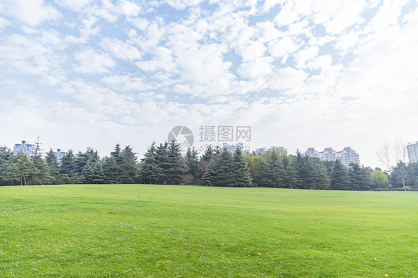 公园草地高清图片下载-正版图片501126810-摄图网