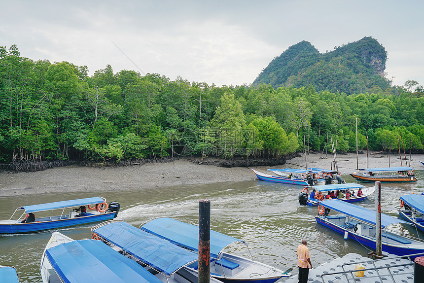 马来西亚兰卡威红树林高清图片下载-正版图片501178829-摄图网