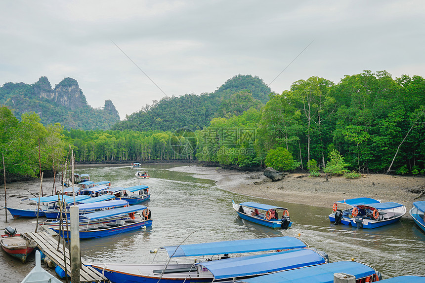 马来西亚兰卡威红树林高清图片下载-正版图片501178830-摄图网