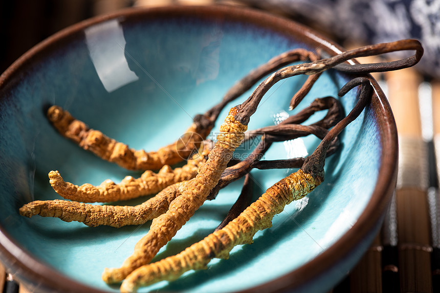 冬虫夏草高清图片下载-正版图片501249134-摄图网