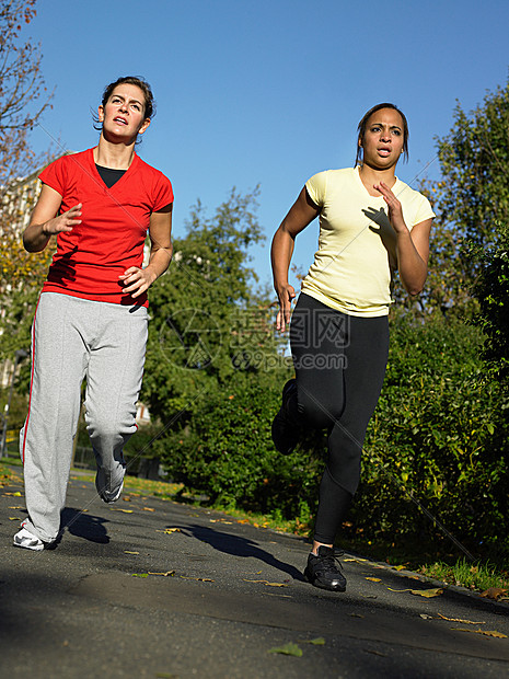 两个女人慢跑高清图片下载-正版图片501497568-摄图网