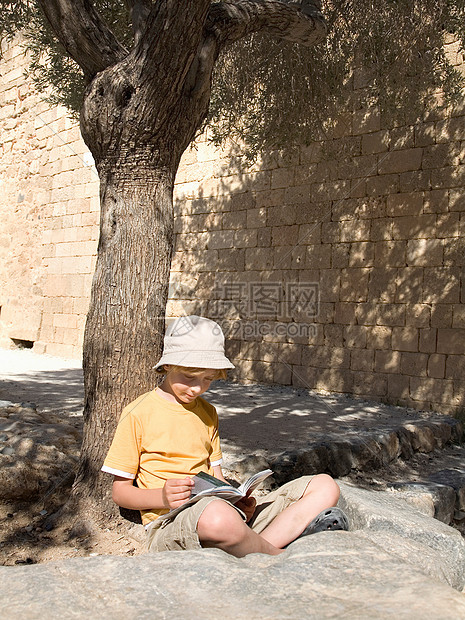 男孩在树下看书高清图片下载-正版图片501517308-摄图网
