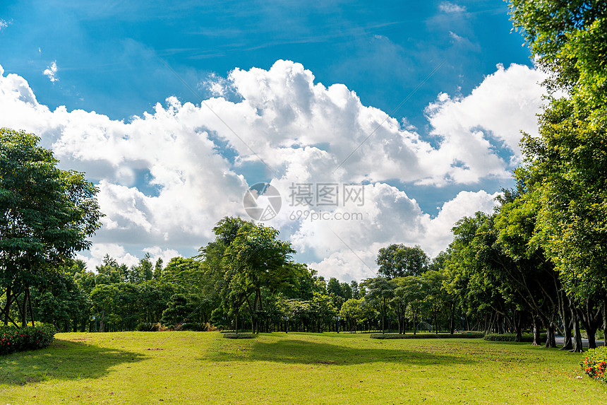 公园草地高清图片下载-正版图片501648916-摄图网