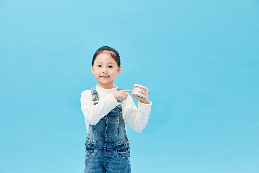 展示牙齿模型的可爱小女孩高清图片下载-正版图片501789420-摄图网