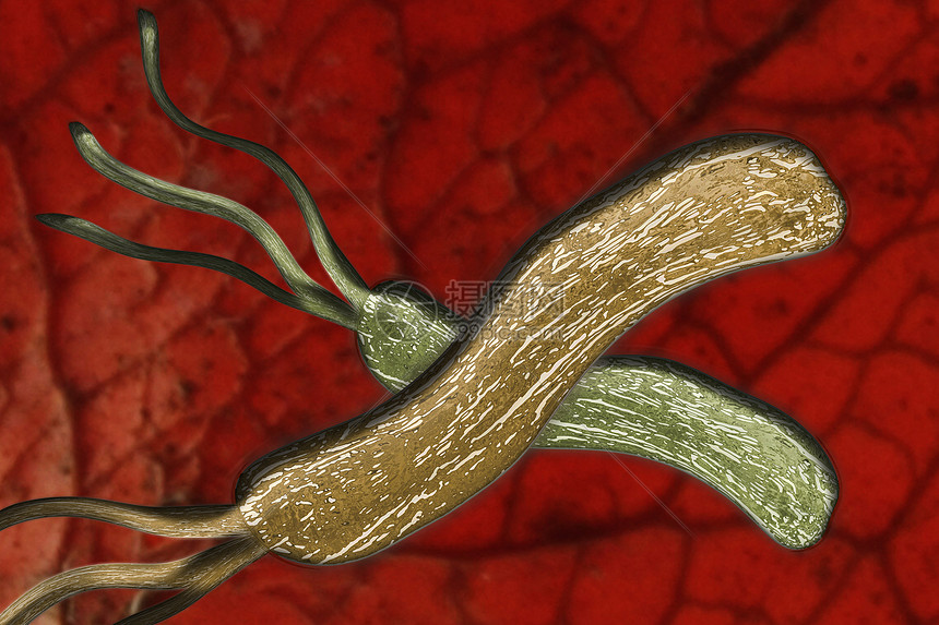 多彩微生物电子显微镜图高清图片下载-正版图片501820722-摄图网