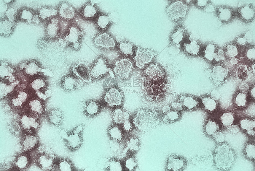 显微镜下的微生物高清图片下载-正版图片501838778-摄图网