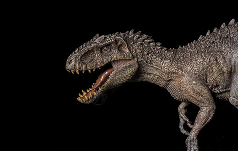 霸王龙图片_霸王龙素材_霸王龙高清图片_摄图网图片下载