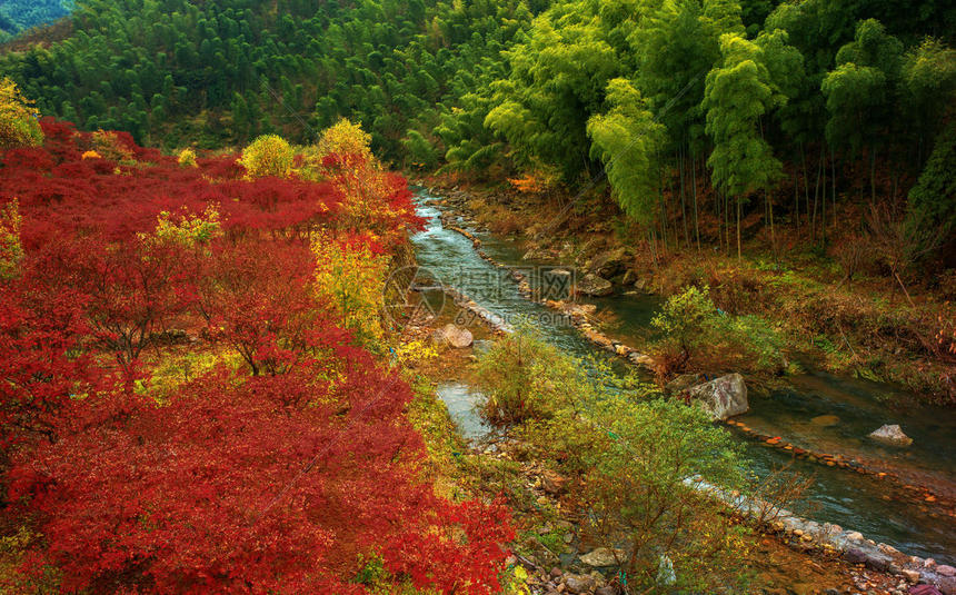 四明山秋色高清图片下载-正版图片502417270-摄图网