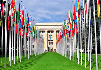 联合国标志图片_联合国标志素材_联合国标志高清图片_摄图网图片下载