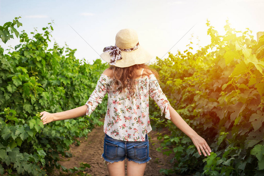 女孩张开双臂穿过葡萄园的背影女人在大自然中享受高清图片下载-正版图片502510023-摄图网