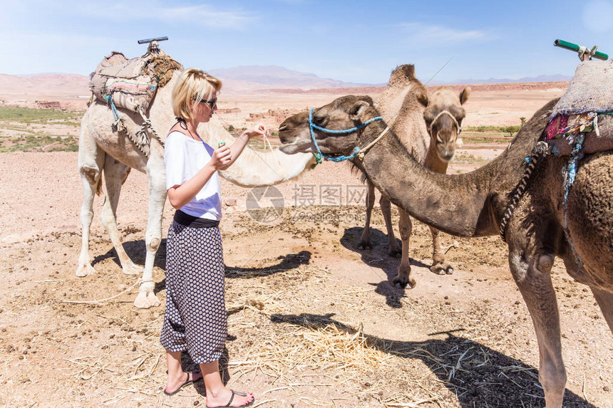 年轻女在摩洛哥度高清图片下载-正版图片502519391-摄图网
