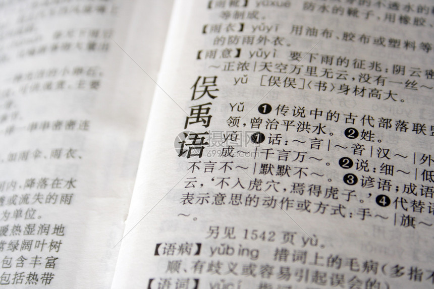 汉字语言中文有汉字词典高清图片下载-正版图片502548965-摄图网