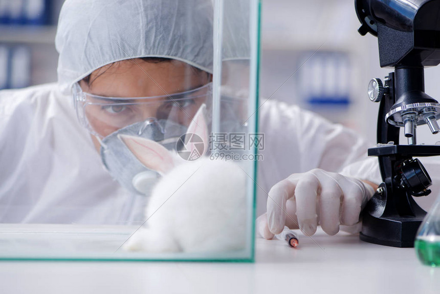 科学家在实验室里用兔高清图片下载-正版图片502552327-摄图网