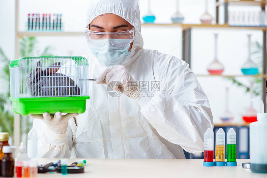 科学家对动物兔子进行测试高清图片下载-正版图片502552531-摄图网