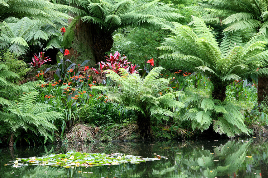 TerraNostra公园Furnas高清图片下载-正版图片502561086-摄图网