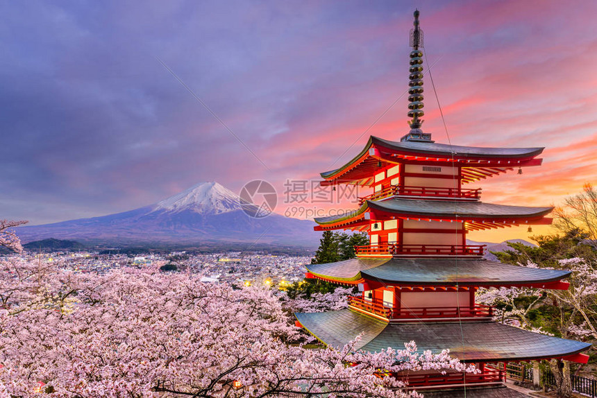 日本富士山和忠灵塔的春景高清图片下载-正版图片502645360-摄图网