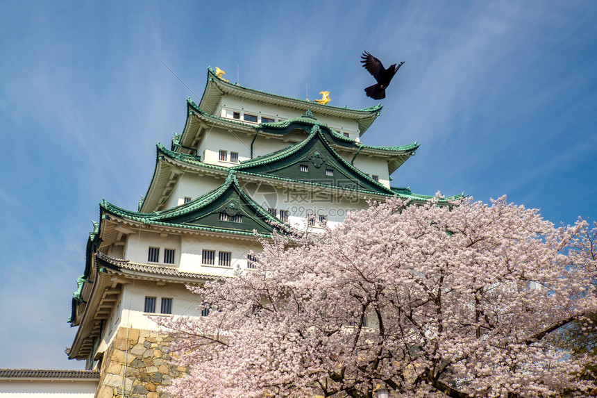 日本名古屋城遗址高清图片下载-正版图片502647145-摄图网