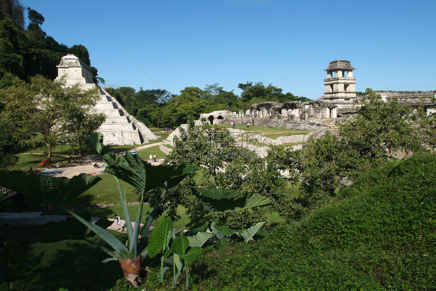 恰帕斯Palenq高清图片下载-正版图片502648714-摄图网