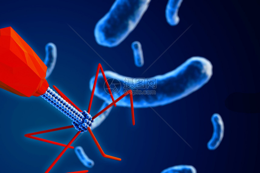 噬菌体攻击细菌的3d宏观图解图片素材-正版创意图片502722594-摄图网