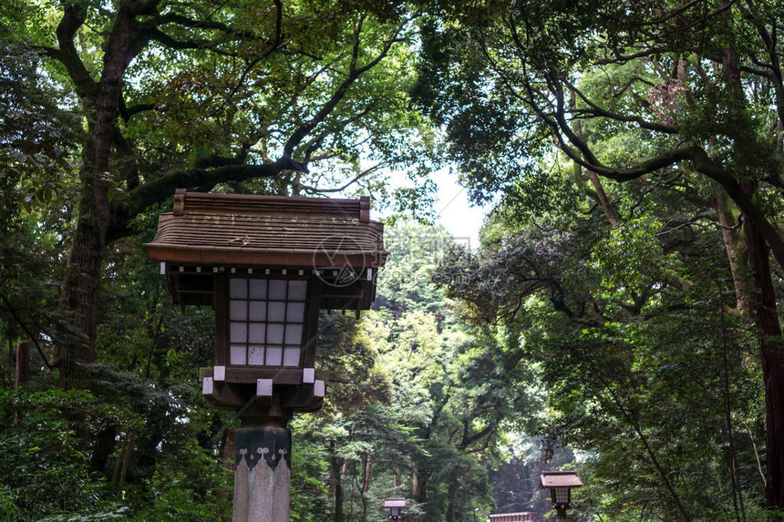 沿着通往日本首都东京Meijijing高清图片下载-正版图片502757989-摄图网