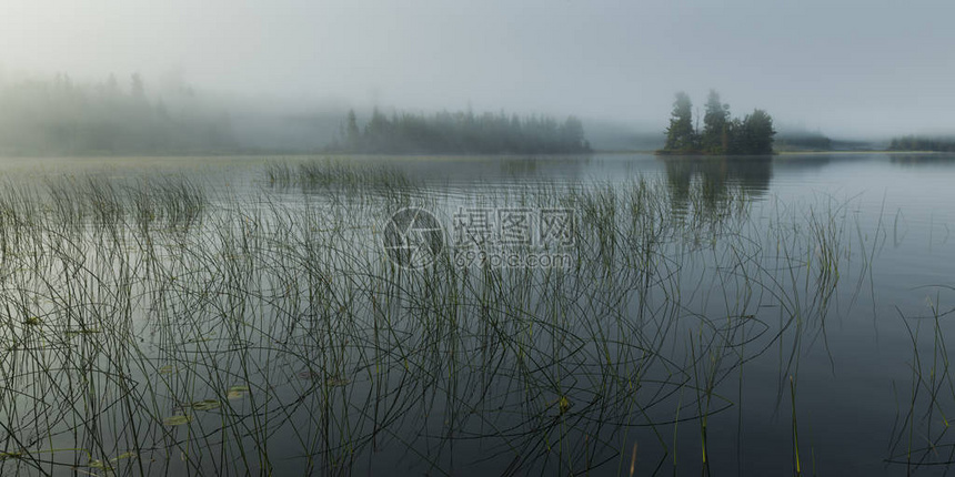 加拿大安略省森林湖Kenora湖中生长高清图片下载-正版图片502863550-摄图网