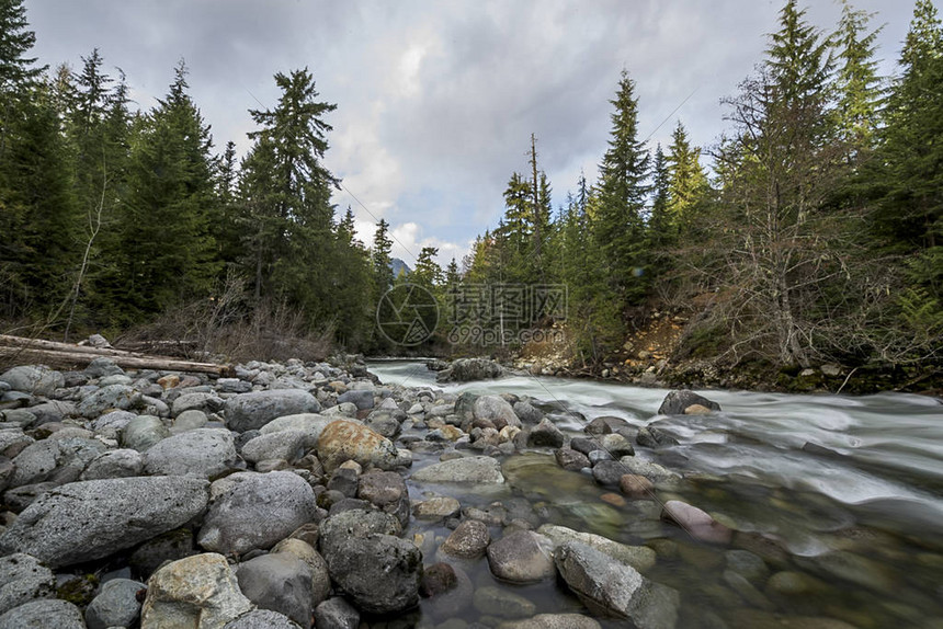 加拿大不列颠哥伦比亚省Whistler森林高清图片下载-正版图片502865770-摄图网