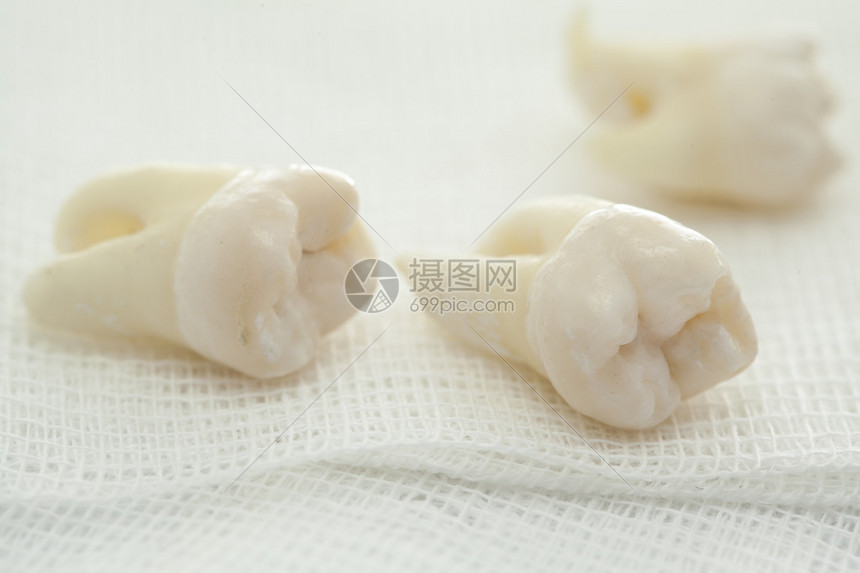 在白色去除了智齿高清图片下载-正版图片502921088-摄图网