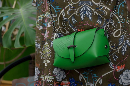 时尚女人拿着奢侈的蛇皮包高清图片下载-正版图片503156647-摄图网