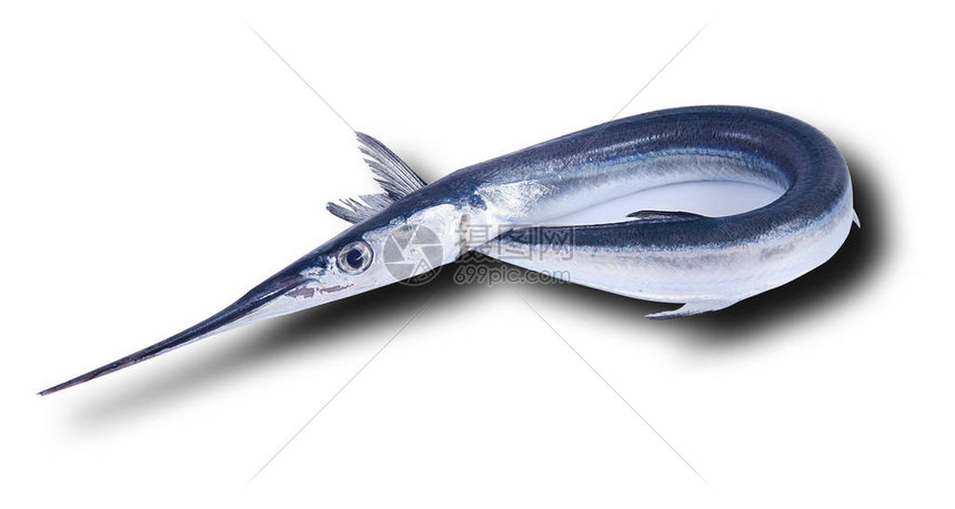 白色背景上的新鲜garfish高清图片下载-正版图片502980679-摄图网