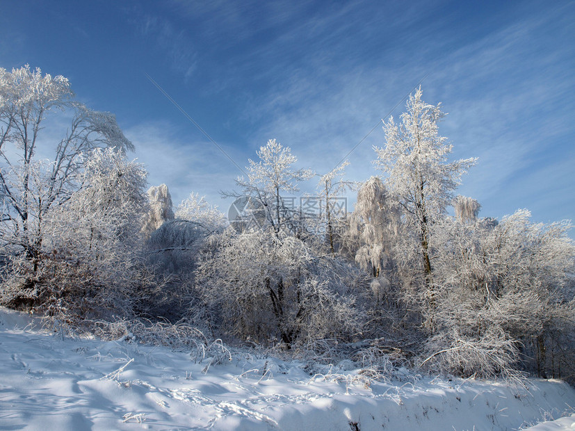 冬天的风景高清图片下载-正版图片503018275-摄图网