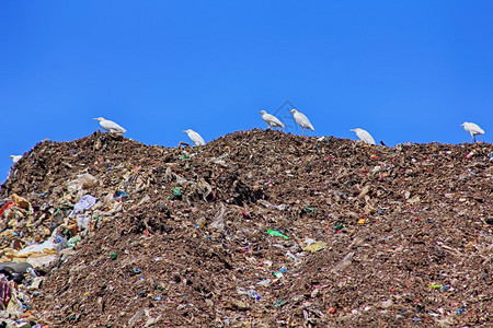 垃圾山图片_垃圾山素材_垃圾山高清图片_摄图网图片下载