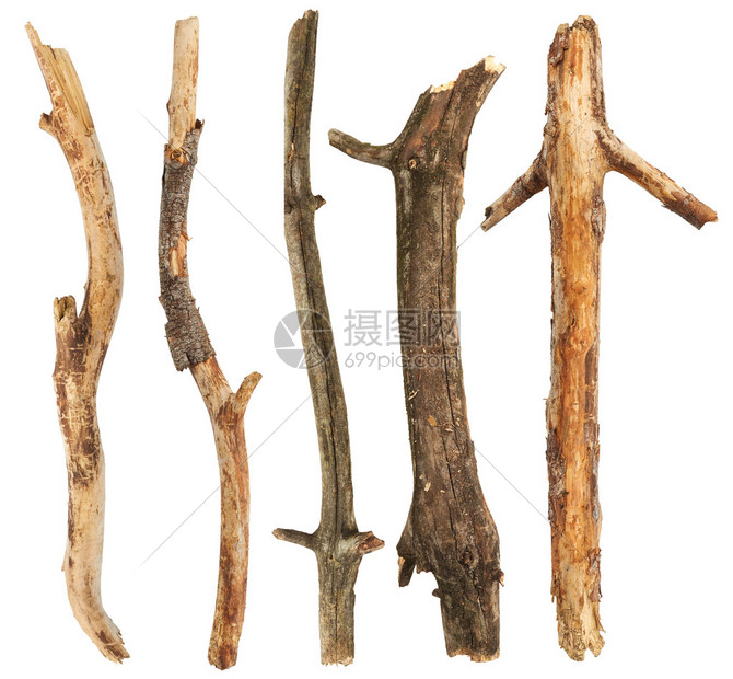 在白色背景上隔离的一组树棍高清图片下载-正版图片503099827-摄图网