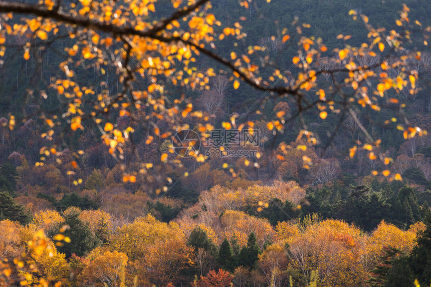 日本Nikk高清图片下载-正版图片503191358-摄图网