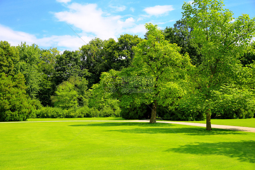 在一个美丽的公园中高清图片下载-正版图片503227515-摄图网