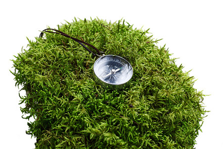 Mos图片_Mos素材_Mos高清图片_摄图网图片下载