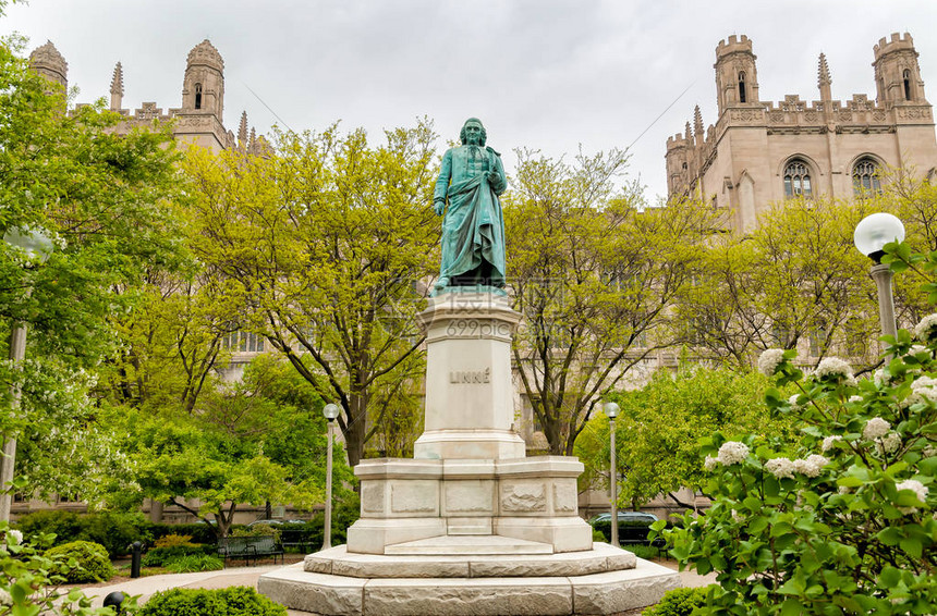 美国伊利诺伊州芝加哥大学海德公园卡尔林高清图片下载-正版图片503229365-摄图网