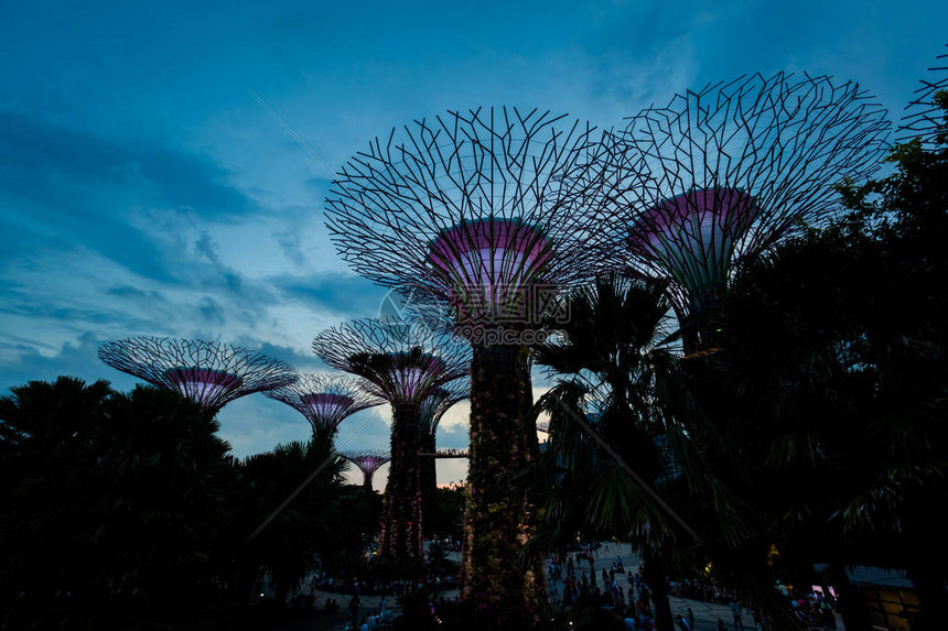 新加坡夜间超级树林露天表演高清图片下载-正版图片503234031-摄图网