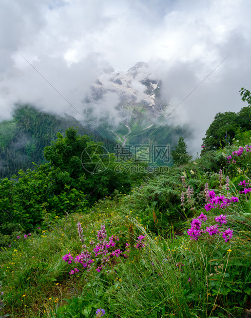 格鲁吉亚斯瓦涅蒂山地表面有高清图片下载-正版图片503235520-摄图网