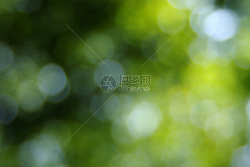 绿色模糊的背景b高清图片下载-正版图片503251537-摄图网