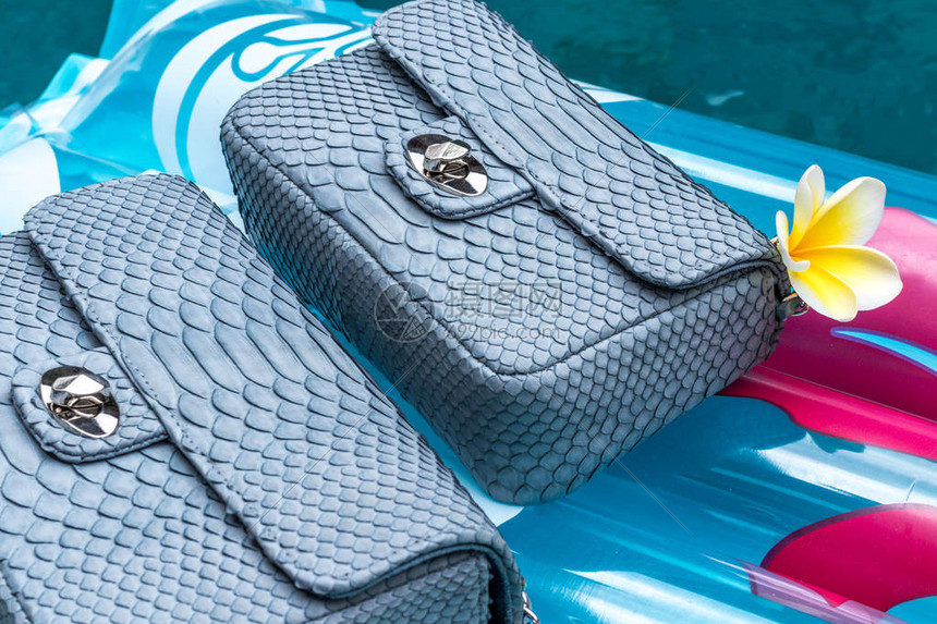 池里的女士豪华蛇皮蟒蛇手提包高清图片下载-正版图片503252529-摄图网