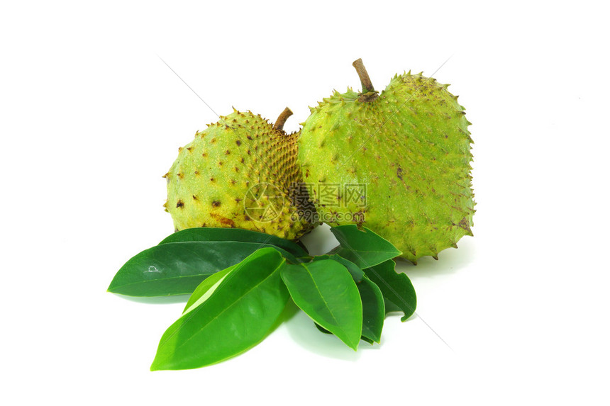 Soursop高清图片下载-正版图片503257123-摄图网