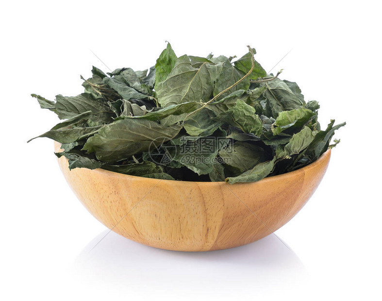 Jiaogulan高清图片下载-正版图片503273661-摄图网