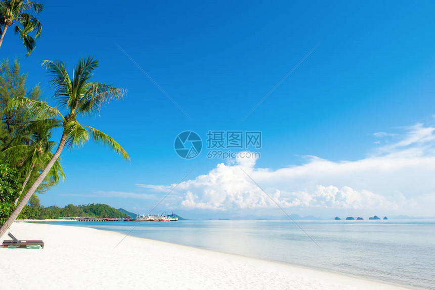 美丽的白色沙滩夏天有椰子树高清图片下载 正版图片503275094 摄图网