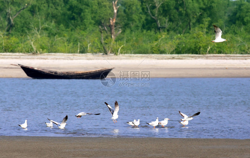 孟加拉国Kuaka高清图片下载-正版图片503277549-摄图网