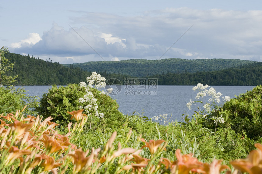 位于加拿大魁北克高洛朗人湖和深森林的多姿高清图片下载-正版图片503280857-摄图网